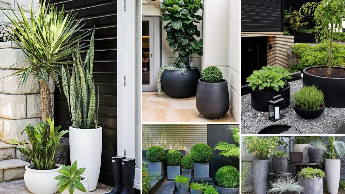 24 DIY γλάστρες απο ανακυκλώσιμα υλικά! - Toftiaxa.gr