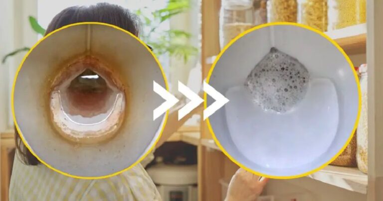 Πώς να Καθαρίσω Τουαλέτα Γεμάτη Σκουριά και Άλατα: Ξεχάστε τη Χλωρίνη